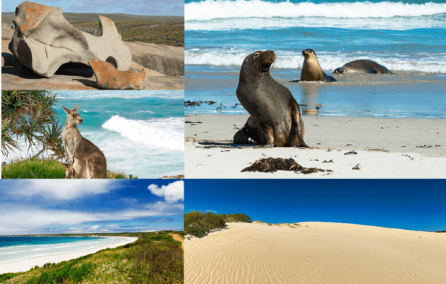 Australia Tour: Espectacular Isla Canguro por 5 Días